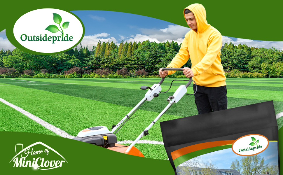 Fireball & Hattrick Grass Seed - Perennial Ryegrass Seed Blend