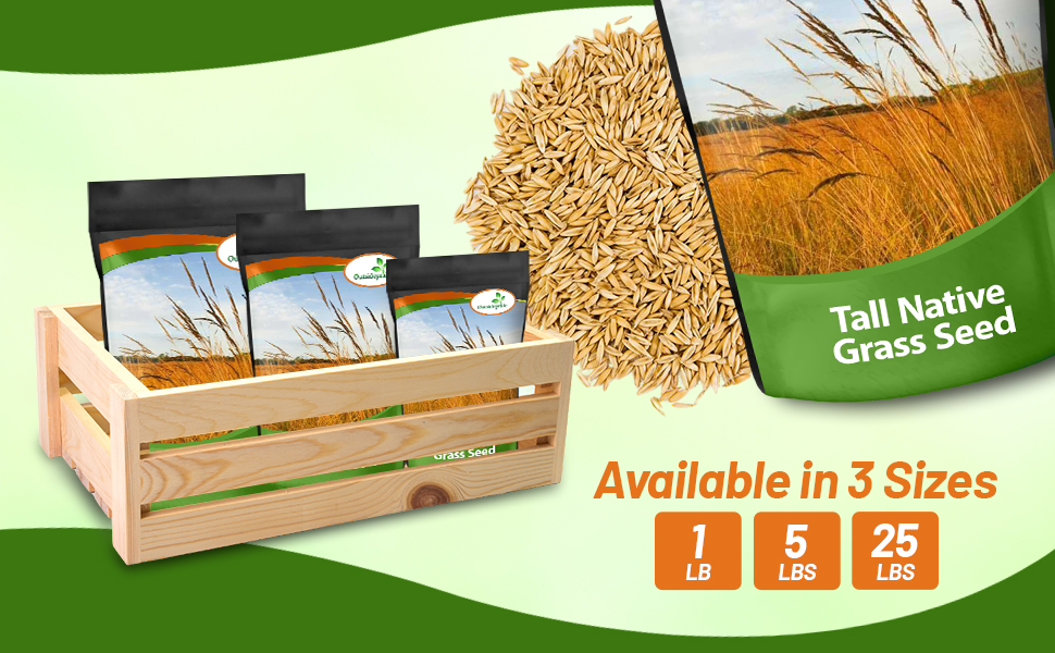 Tall Native Prairie Drought Tolerant Grass Seed Mix For Xeriscape Landcapes