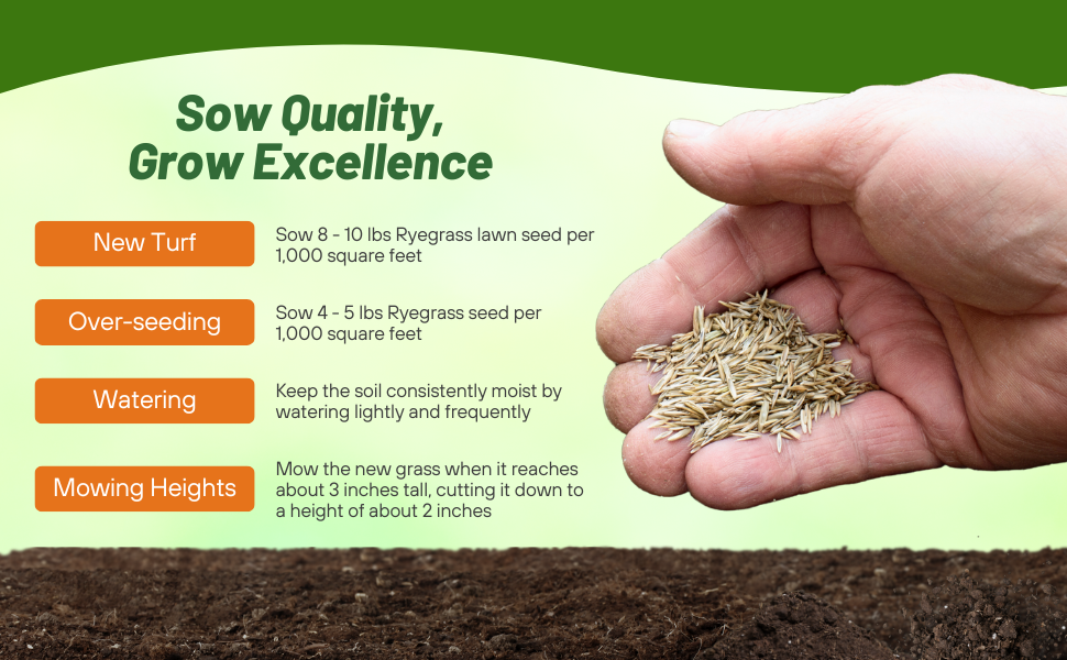 Fireball & Hattrick Grass Seed - Perennial Ryegrass Seed Blend