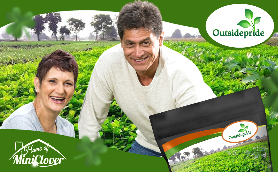 Berseem Clover Seeds For Deer Food Plots, Cover Crops