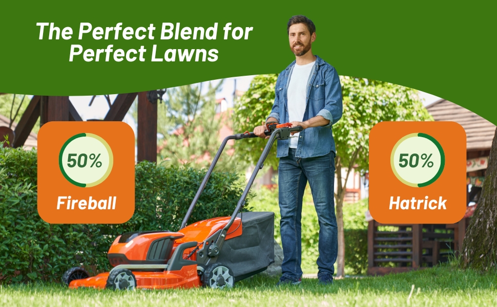 Fireball & Hattrick Grass Seed - Perennial Ryegrass Seed Blend