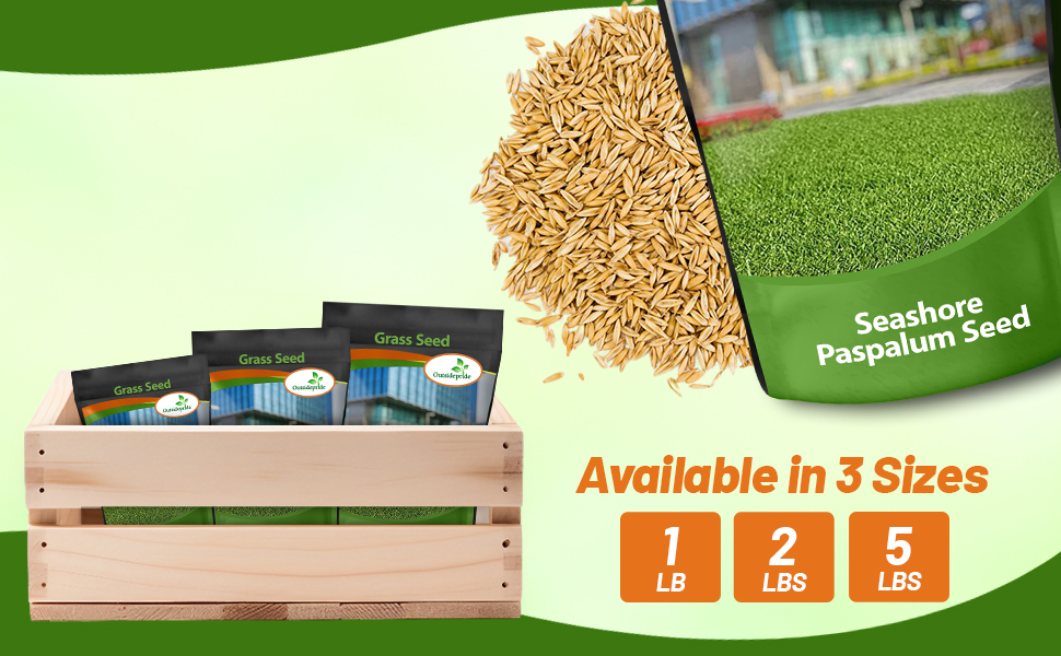 Rescape Seashore Paspalum Lawn Grass Seed