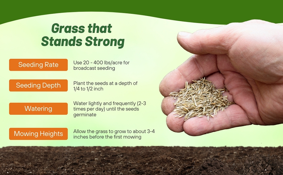 Combat Extreme™ Transition Zone - Transition Zone Grass Seed