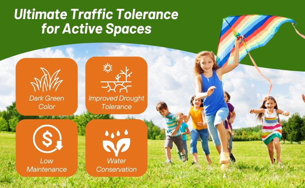 Fireball & Hattrick Grass Seed - Perennial Ryegrass Seed Blend