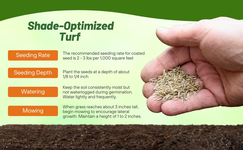 Rescape Seashore Paspalum Lawn Grass Seed