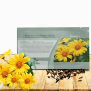 Mexican Sunflower Tithonia Yellow Torch Heat & Drought Tolerant Garden ...