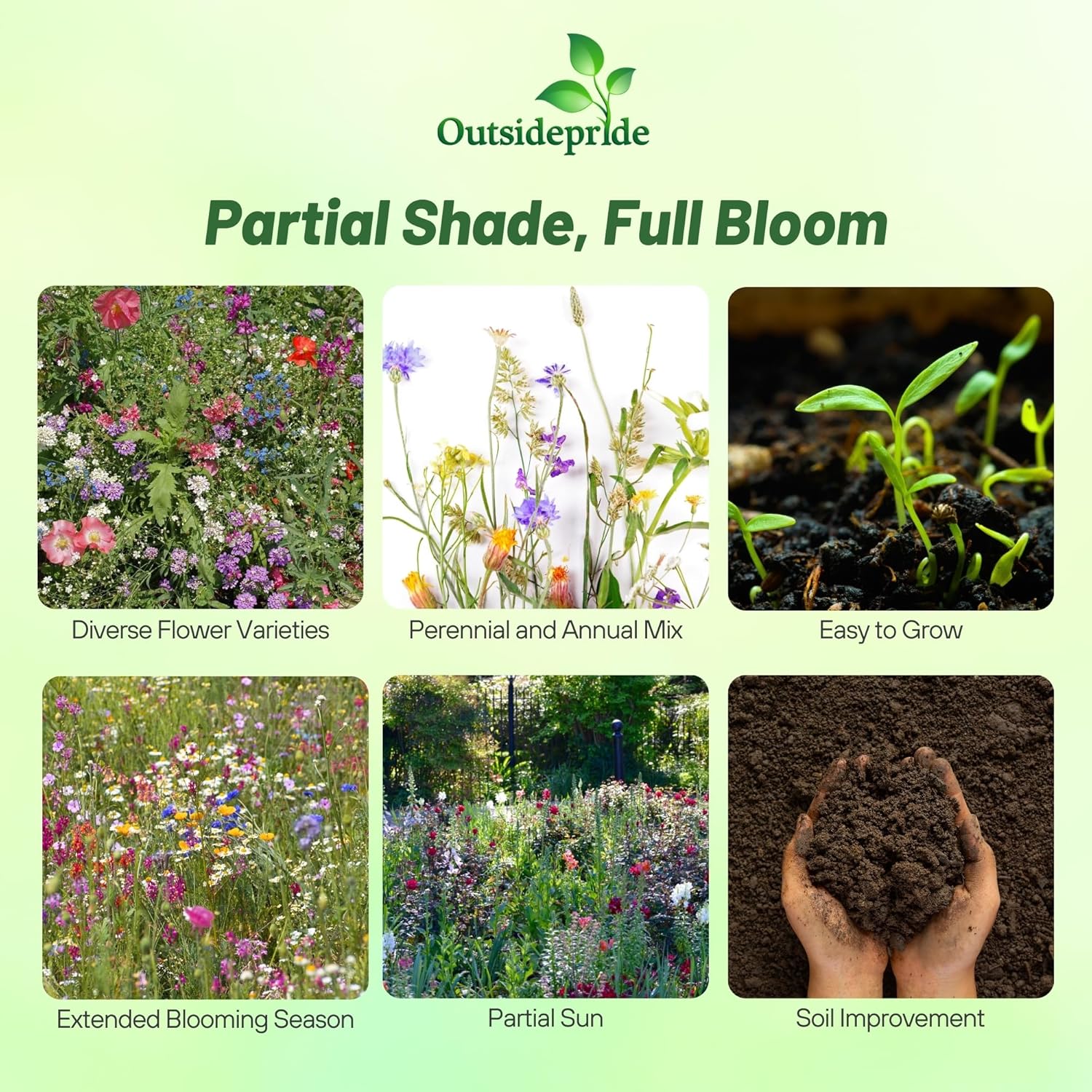Partial Shade Wildflowers Partial Shade Wildflower Seed Mix