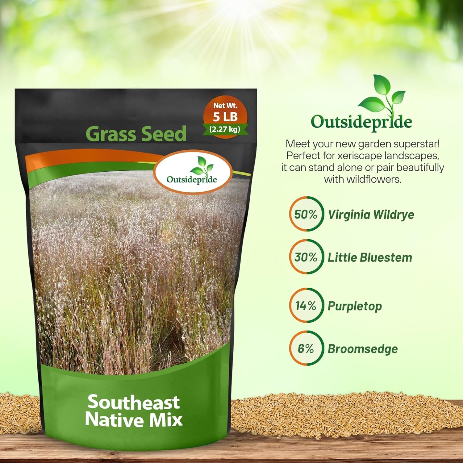 Southeast Landscaping Grass How To Maintain A Healthy Florida Lawn