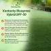 SPF-30 Hybrid Heat & Drought Tolerant Kentucky Bluegrass Seed For Lawns