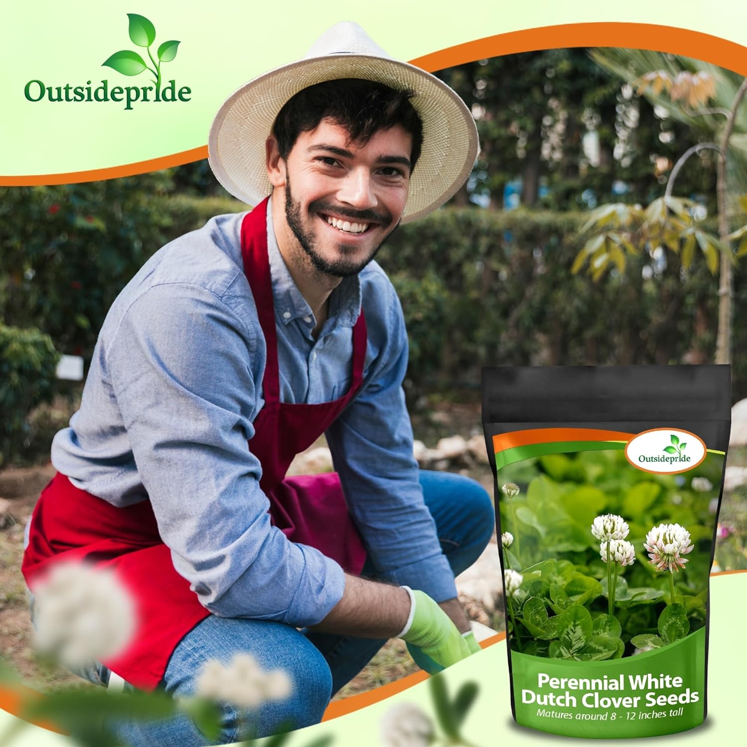 White Dutch Clover Seeds For Planting, Lawns, Erosion Control, Ground ...